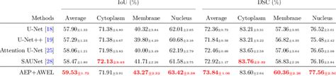 Comparison Between The Conventional And Proposed Methods On The Cell Download Scientific