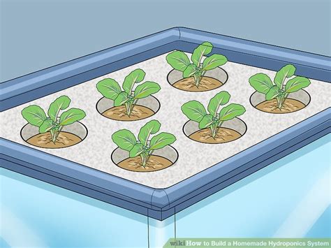Ways To Build A Homemade Hydroponics System WikiHow