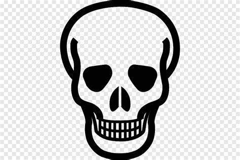 두개골과 이미지 해골 두개골 머리 두개골과 이미지 Png Pngegg
