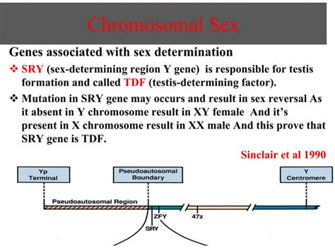 Disorders Of Sex Development Pptx