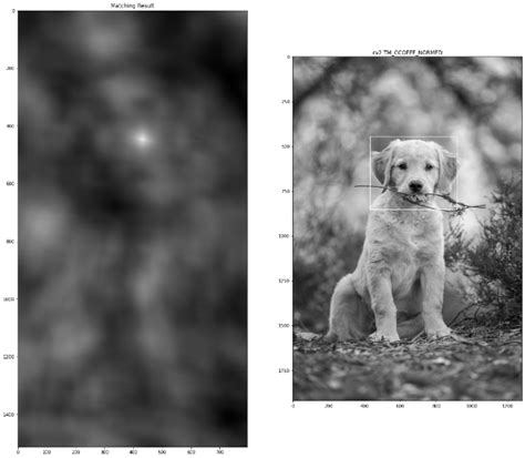 Template Matching Using Opencv Python Geeks