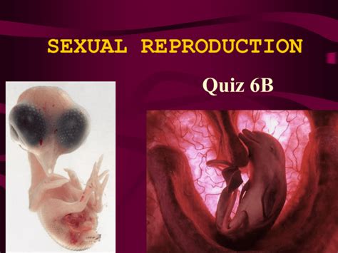 SEXUAL REPRODUCTION