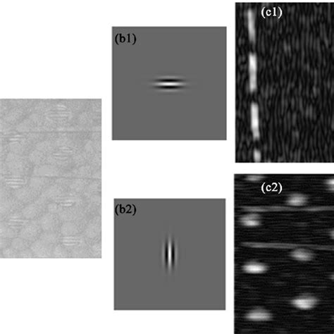 Feature Extraction Of Gabor Operator A Original Image B1 Gabor Download Scientific
