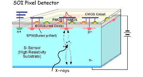 Schematics Of Soi Monolithic Pixel Device Download Scientific Diagram