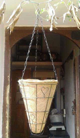 Coco Peet 5kg Coir Pots The Pot Shop Garden Store Vertical