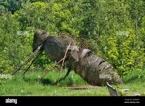 A Large Woven Sculpture Of An Insect Possibly An Ant Made From