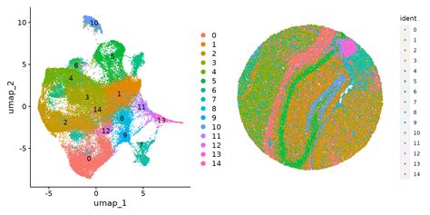 analysis visualization and integration of spatial datasets with