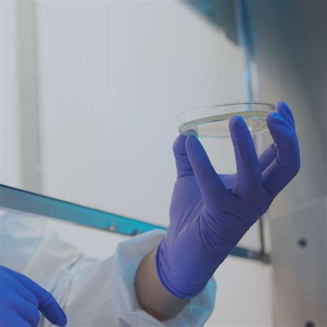 Sterility Testing Regulatory Compliance Microchem Laboratory