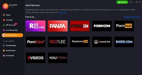 How To Download Videos From Porntube In Easy Steps