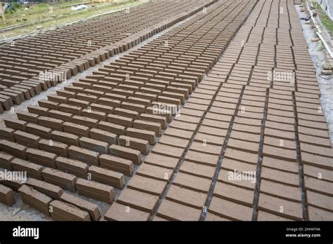 Making Bricks From Clay After The Clay Is Molded Into Bricks After That It Is Laid Out And