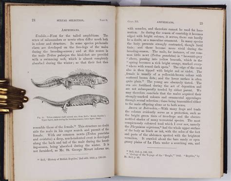 The Descent Of Man And Selection In Relation To Sex Charles Darwin First Edition First