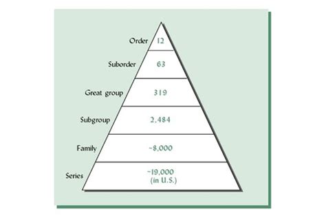 Soil Taxonomy Chapter 10 Flashcards Quizlet