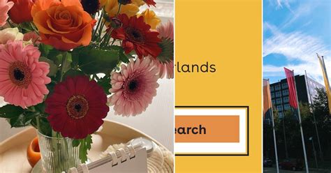 list 🇳🇱 curated by 崔智凱 medium