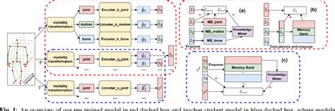 Elevating Skeleton Based Action Recognition With Efficient Multi Modality Self Supervision