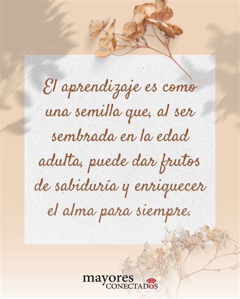 Frases Para Reflexionar Y Compartir Mayores Conectados