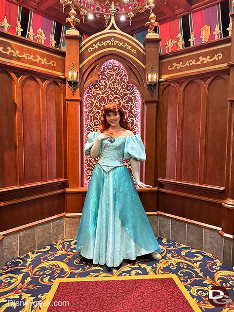 Ariel Disneyland