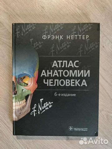 Атлас анатомии Неттера купить в Санкт-Петербурге | Хобби и отдых | Авито