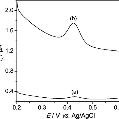 Cyclic Voltammetry Results Of The Plots Of The Peak Current I P Vs Download Scientific