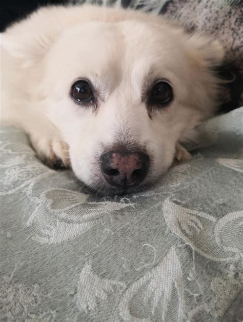 Turning 14 Next Month Scrolller