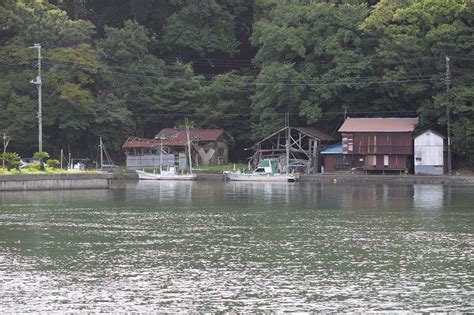伊豆 松崎町 那賀川 花と風景写真 花だより