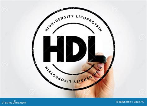 Ldl Low Density Lipoprotein One Of The Five Major Groups Of Lipoprotein Which Transport All