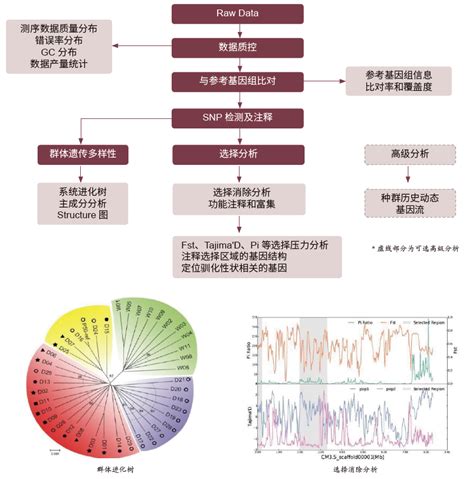 群体遗传进化 产品 动植物基因组学 动植物基因组学 科技服务 产品中心 天根生化科技（北京）有限公司
