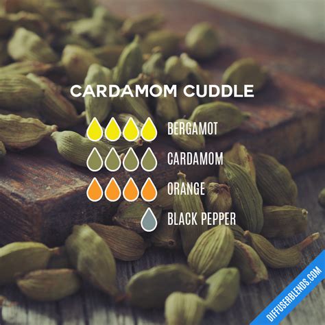 Cardamom Cuddle