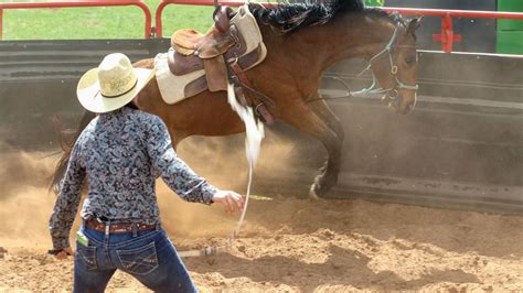 The Art Of Colt Starting With Oklahomas Katie Luttrell More Than Dollars