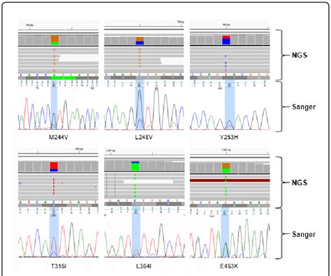 Ten Of Random Ngs Results Were Analyzed With Sanger Sequencer Ab3130