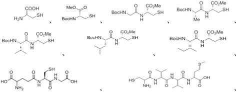 一种基于巯基 烯基叠氮偶联反应的多肽或蛋白质定向修饰方法 2