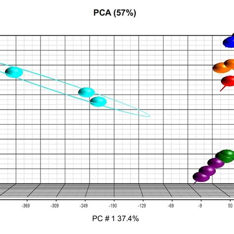 Principal Component Analysis Pca Showing Transcriptomic Differences