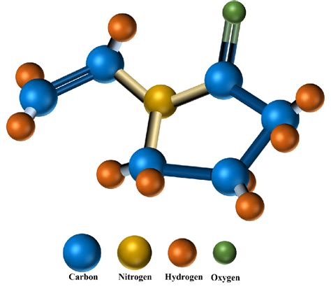 Ball And Stick Model Of PVP Molecular Structure Download Scientific Diagram