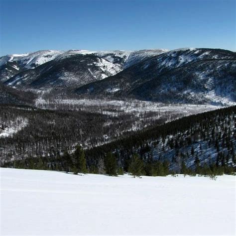 Stream Тусгай хамгаалалттай газар нутгийн хэмжээг тэлнэ By Mongolian