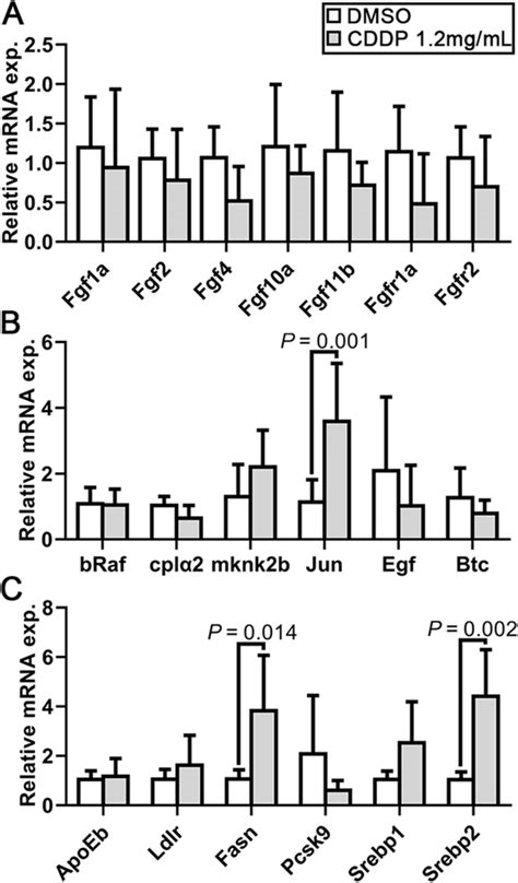 Analysis Of Fgf Mapkerk Srebp 1 And 2 Signaling Pathways In