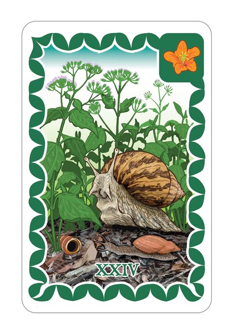 Hhp 06d Hanafuda Hawaii