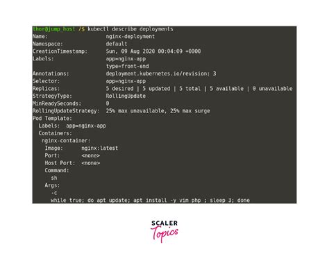 Understanding Crashloopbackoff Error And Ways To Fix Its Scaler Topics
