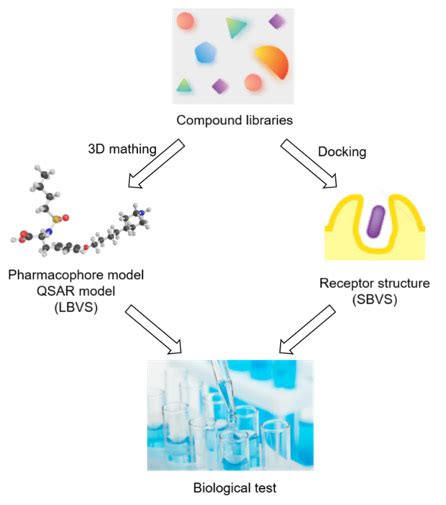 Virtual Screening Services BOC Sciences