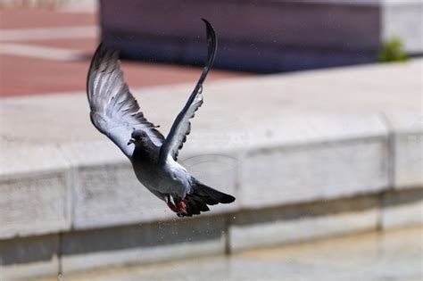 Жегата ще ни мъчи и днес на места температурите може да стигнат 41°