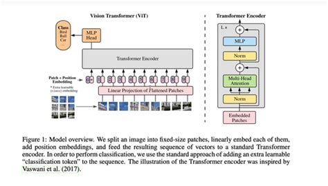 21vision Transformervit模型原理及pytorch逐行实现 知乎