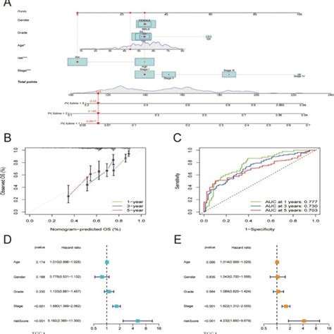 Nomogram Model Construction And Prognostic Factor Analysis A A Download Scientific Diagram