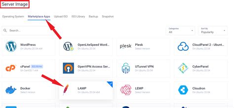 How To Host And Install Php Script On Vultr 2025 The Definitive