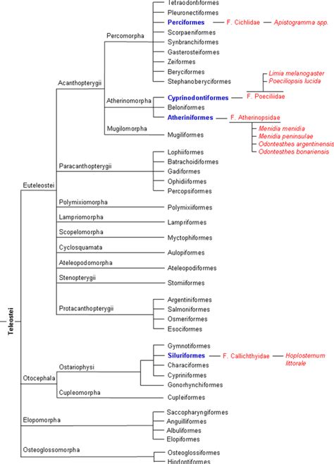 Distribution Of Temperature Dependent Sex Determination Tsd In