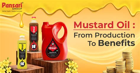 Mustard Oil From Production To Benefits