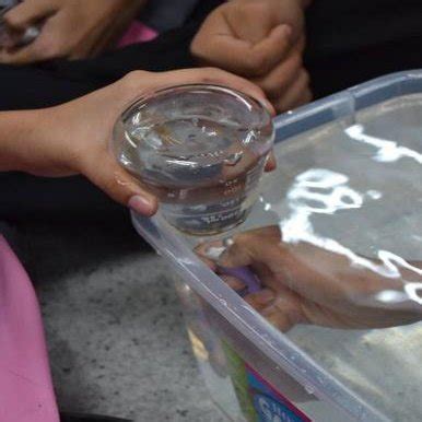 The Science Experiment Process Download Scientific Diagram