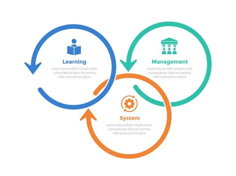 Lms Learning Management System Infographics Vector Image