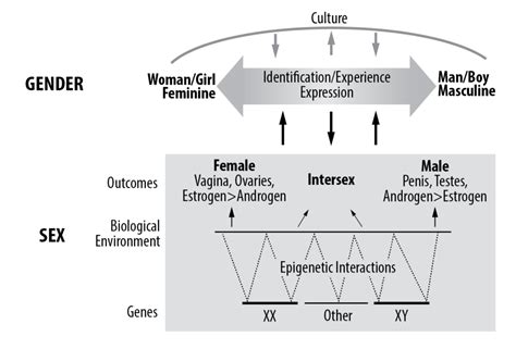 can we create common ground on the issue of transgenderism ccg