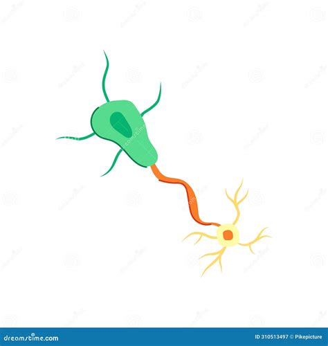 Synapse Isolated On Dark Background Nervous System Transmission Of Nervous Impulses Royalty