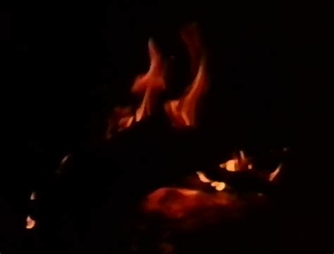 Beach Beauties Usa 1976 Joan Devlon Melba Bruce Eporner