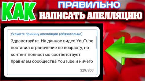 КАК ПРАВИЛЬНО НАПИСАТЬ АПЕЛЛЯЦИЮ НА ВИДЕО Youtube