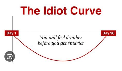 Doli Nehra On Linkedin The Idiot Curve You Will Feel Dumber Before You Get Smarter A Few…